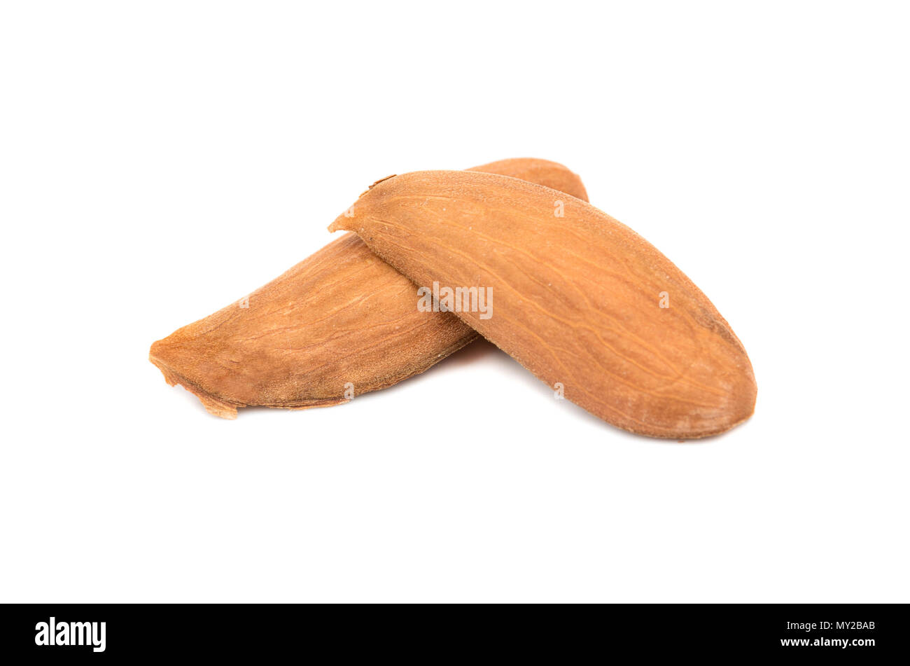 Two wild uzbek almonds without shell on white background Stock Photo ...