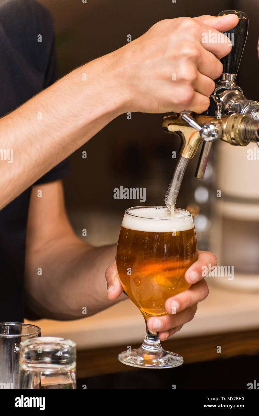 The barman pours beer in a glass Stock Photo - Alamy
