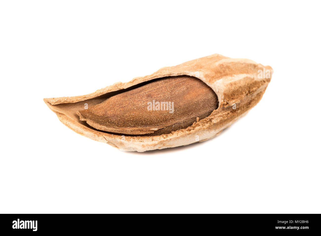 Uzbek broken almonds in shell on a white background Stock Photo - Alamy
