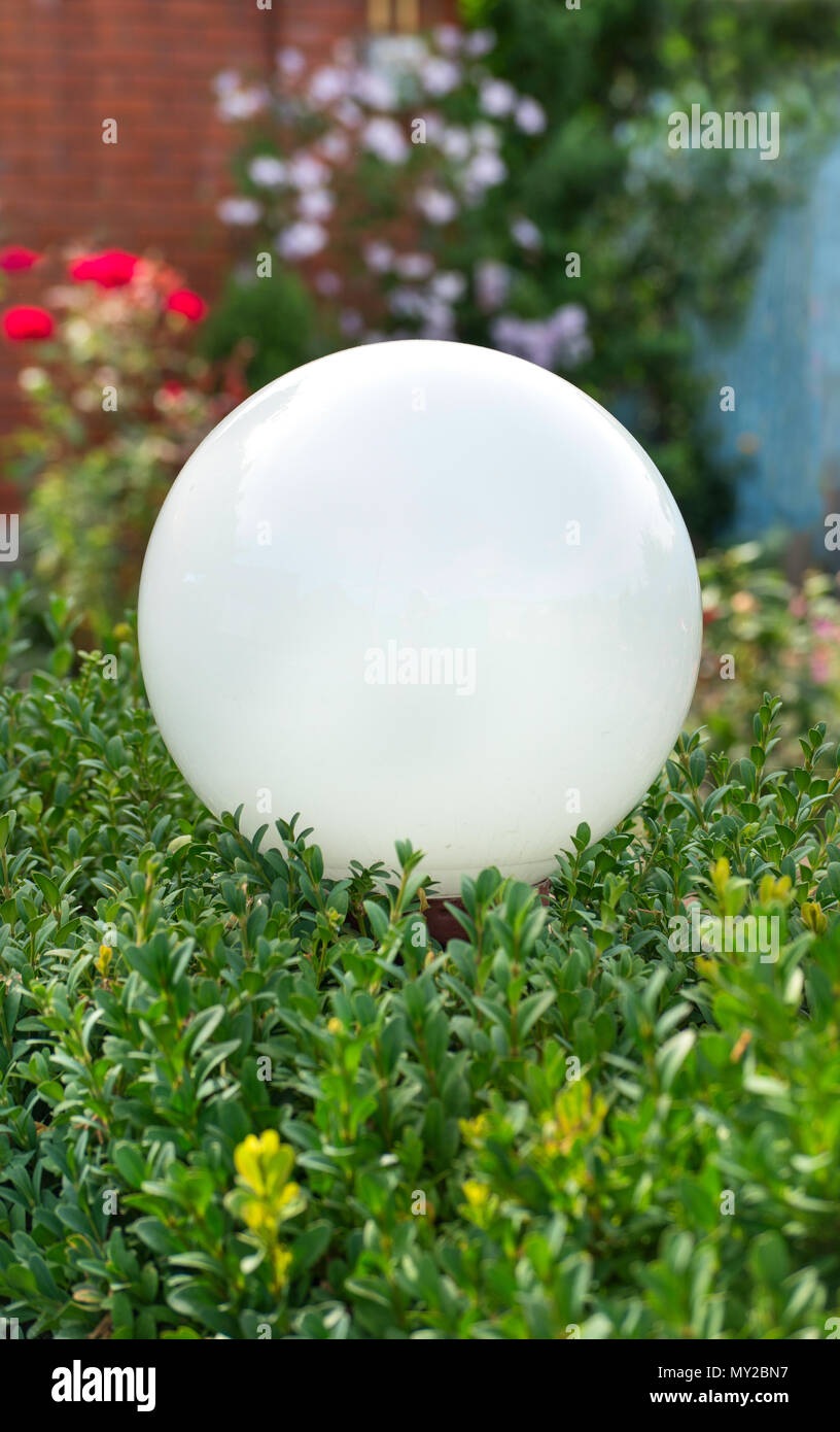 Garden white lights in the bushes in daylight Stock Photo - Alamy
