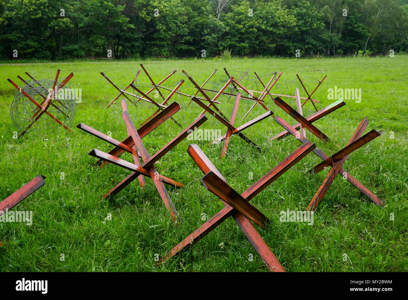 Czech hedgehog hi-res stock photography and images - Alamy