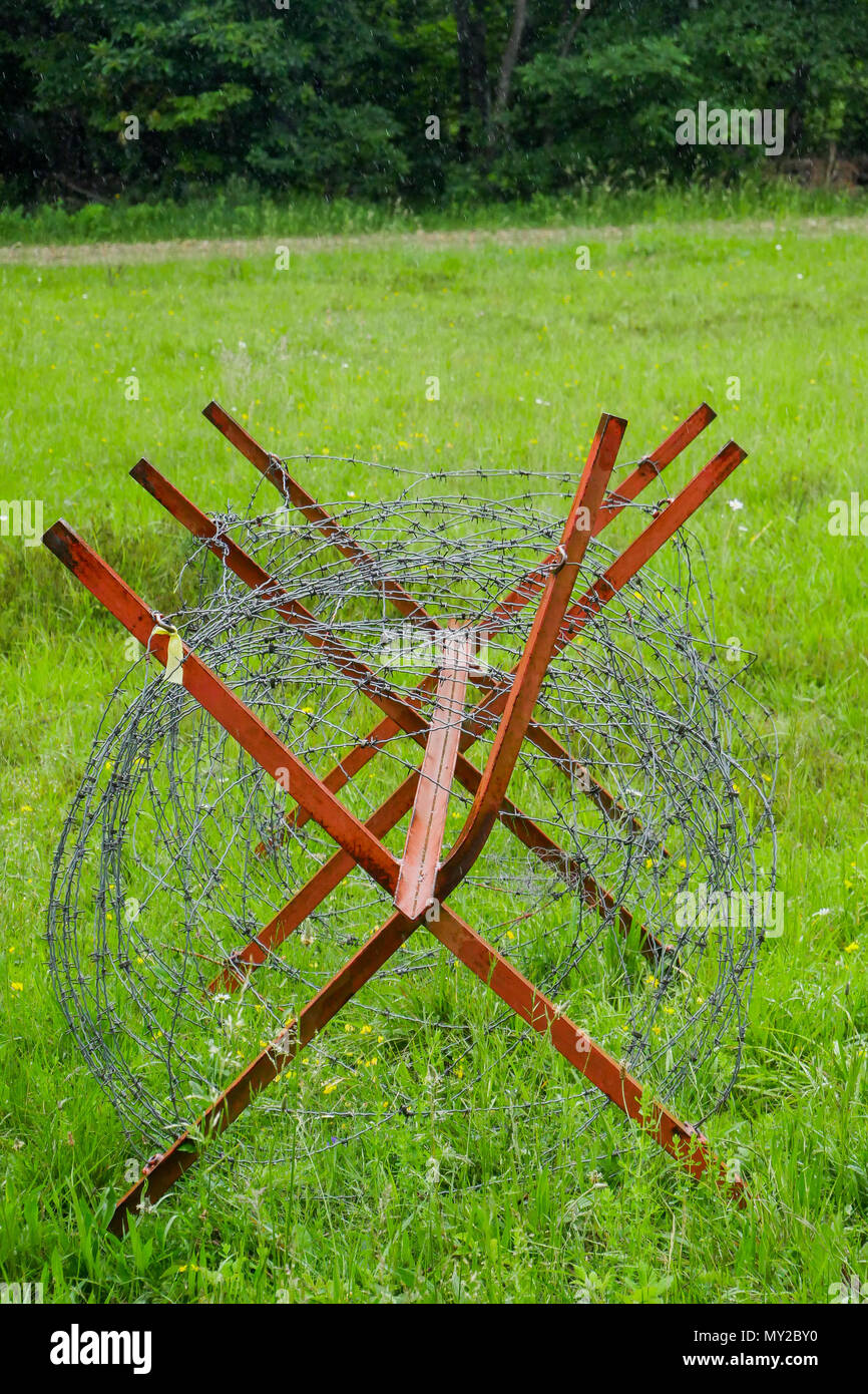 Czech hedgehog hi-res stock photography and images - Alamy