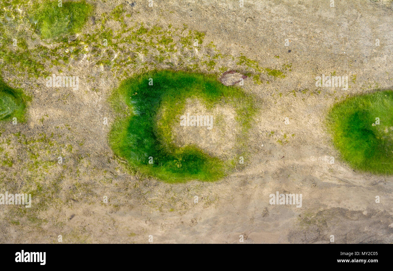 Brook little hi-res stock photography and images - Alamy