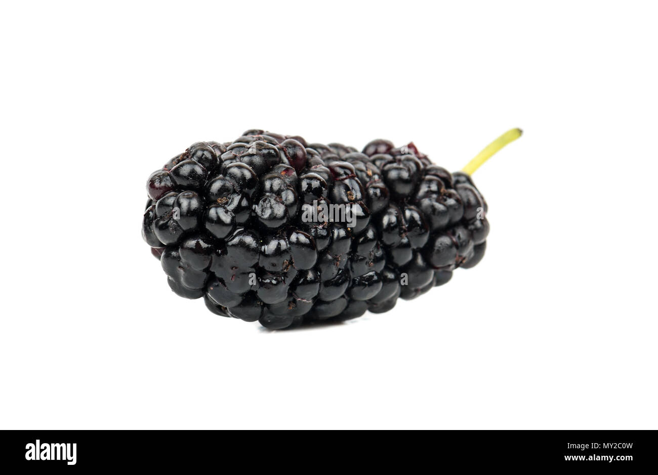 Big black mulberries isolated on white background Stock Photo - Alamy