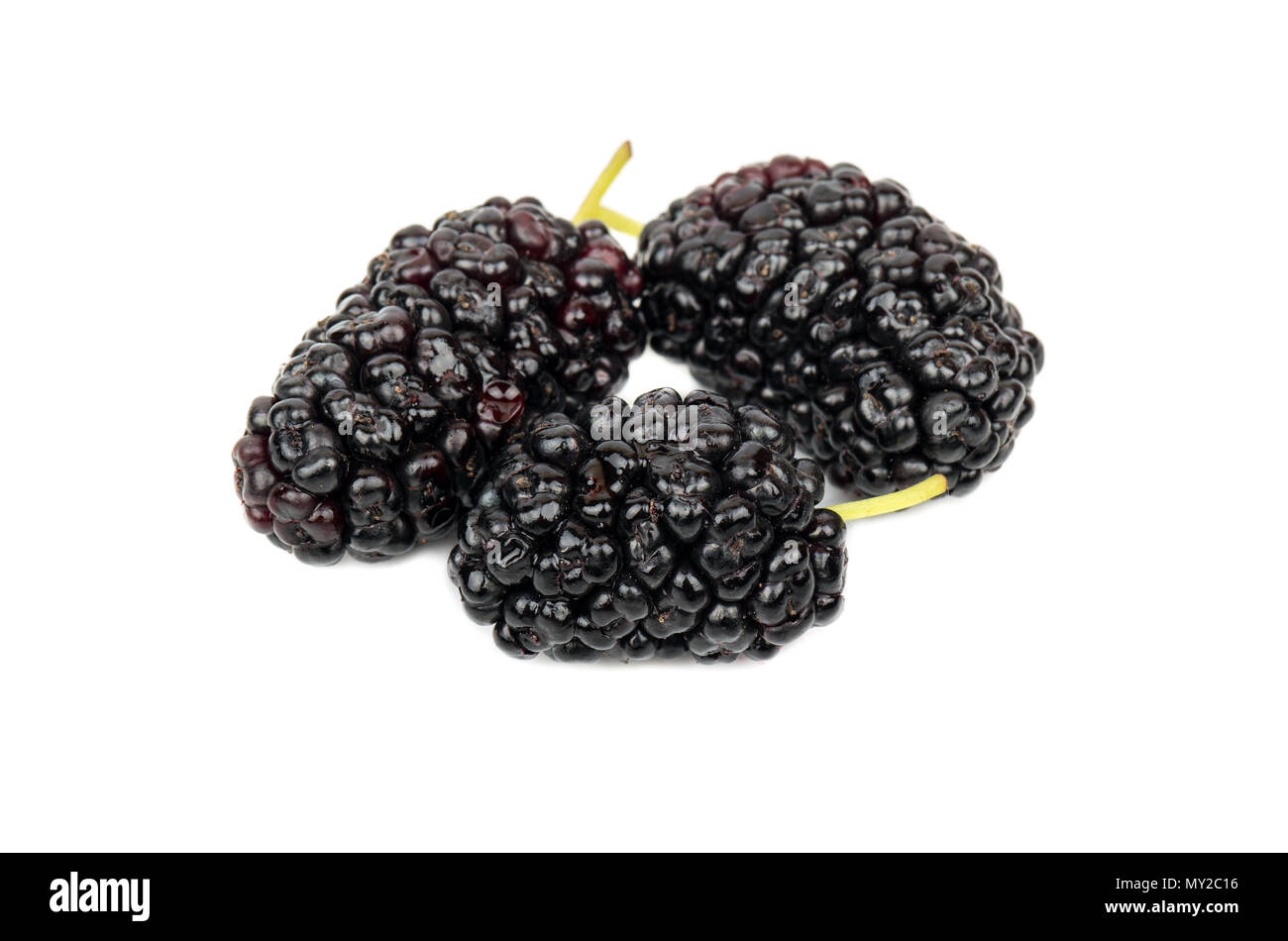 Fresh ripe white mulberry Cut Out Stock Images & Pictures - Alamy