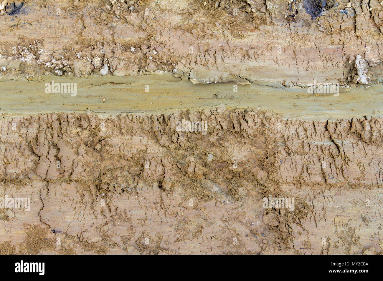 beautiful colored full frame abstract soil structure Stock Photo - Alamy