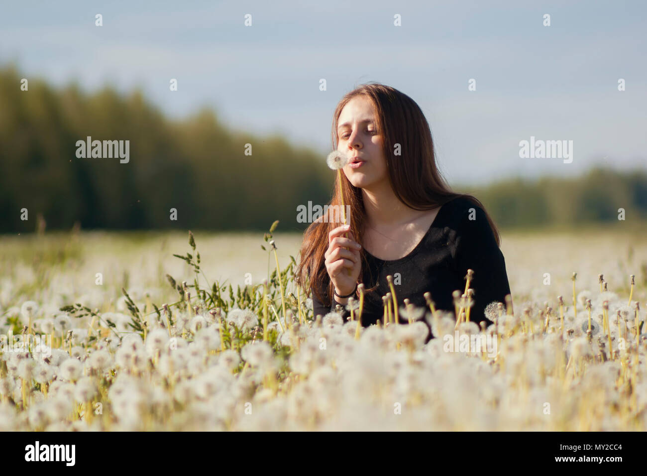 Woman blowing dandelion hi-res stock photography and images - Alamy