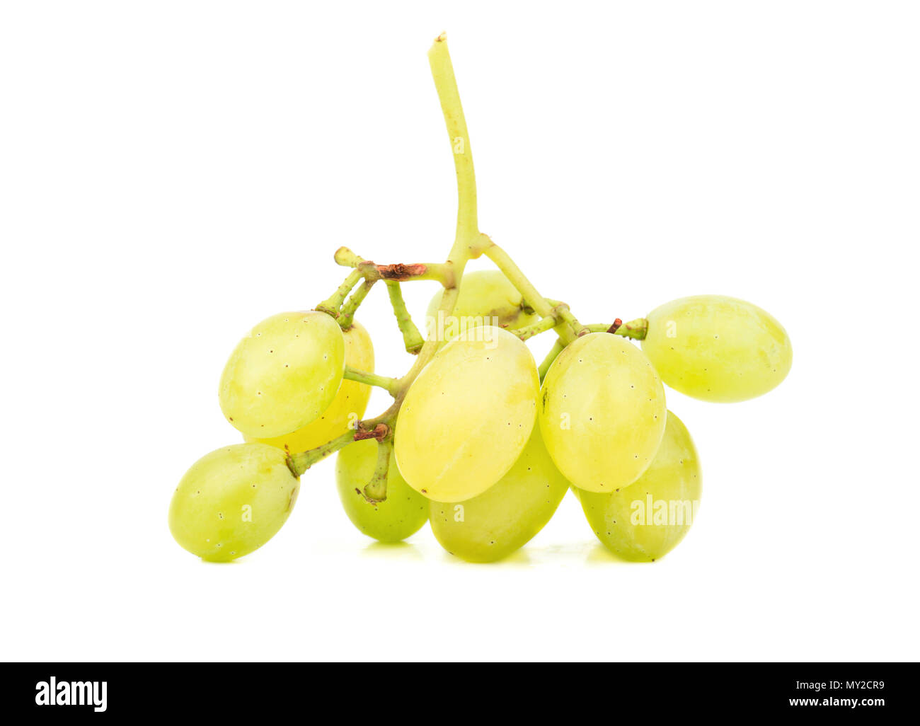 Delicious little branch of green grapes on white background Stock Photo ...