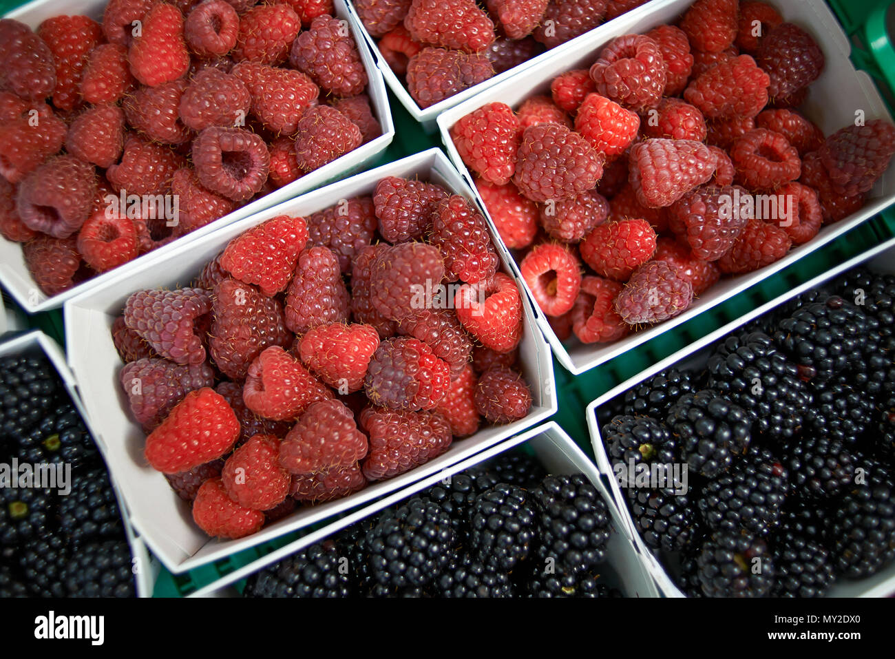 Top down angle of boxes of fresh produced organic raspberries at a ...