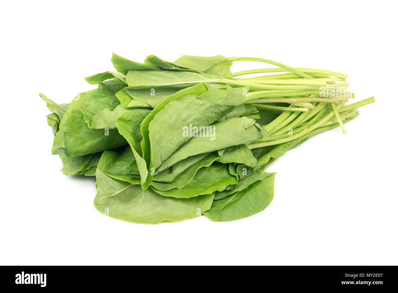 Bunch of fresh spinach isolated on white background Stock Photo - Alamy