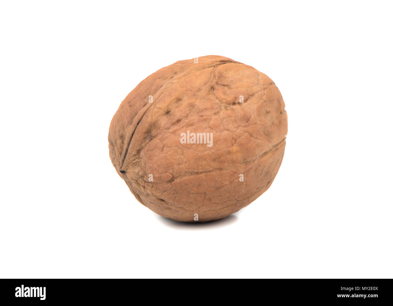 One walnut in shell isolated on white background Stock Photo - Alamy