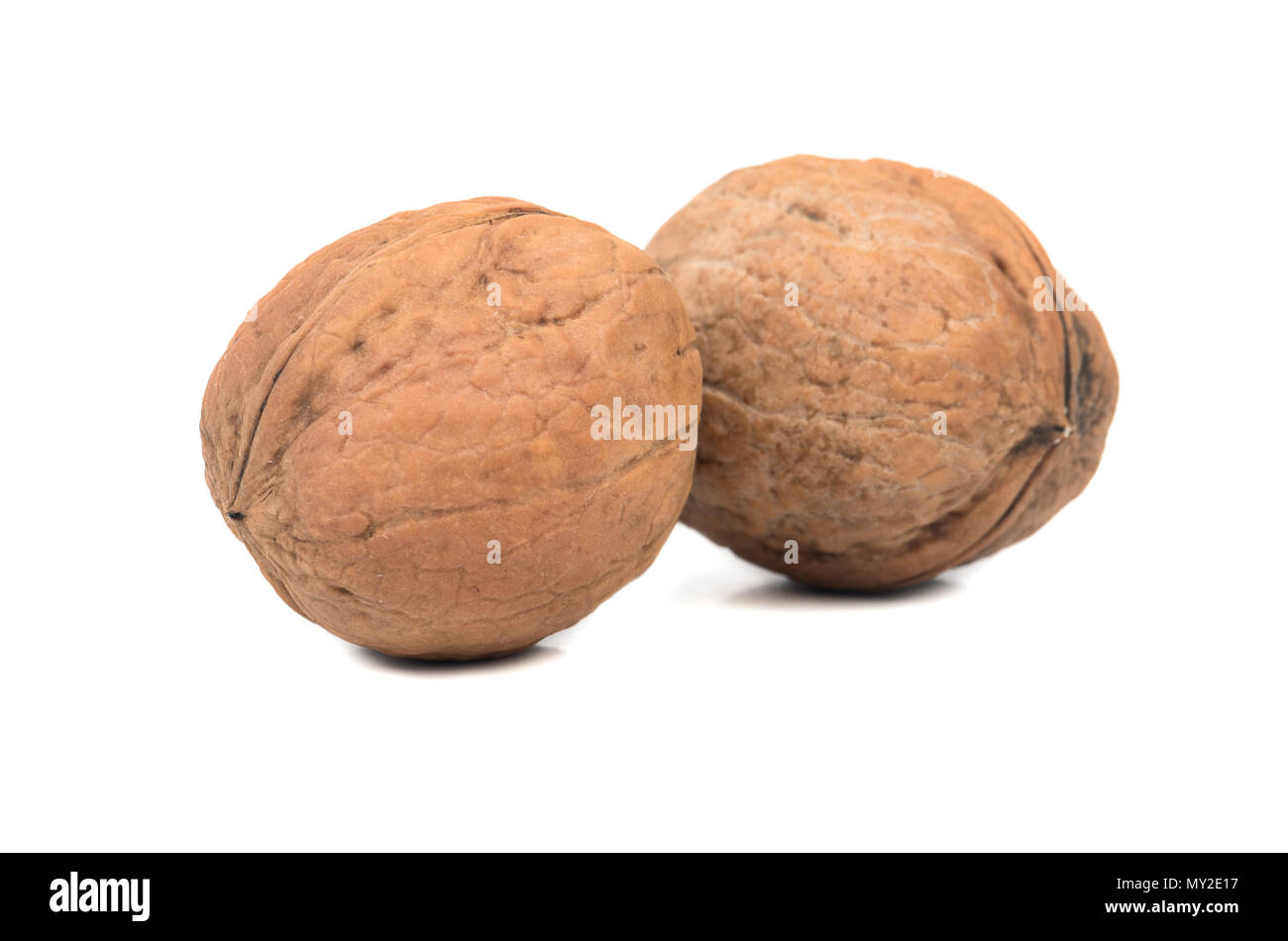 Two walnut in shell isolated on white background Stock Photo - Alamy