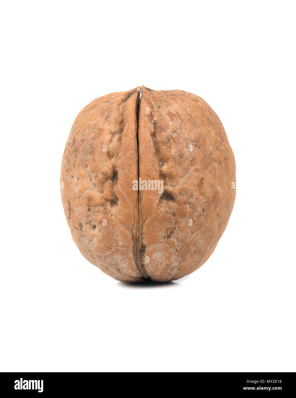 One walnut in shell isolated on white background Stock Photo - Alamy