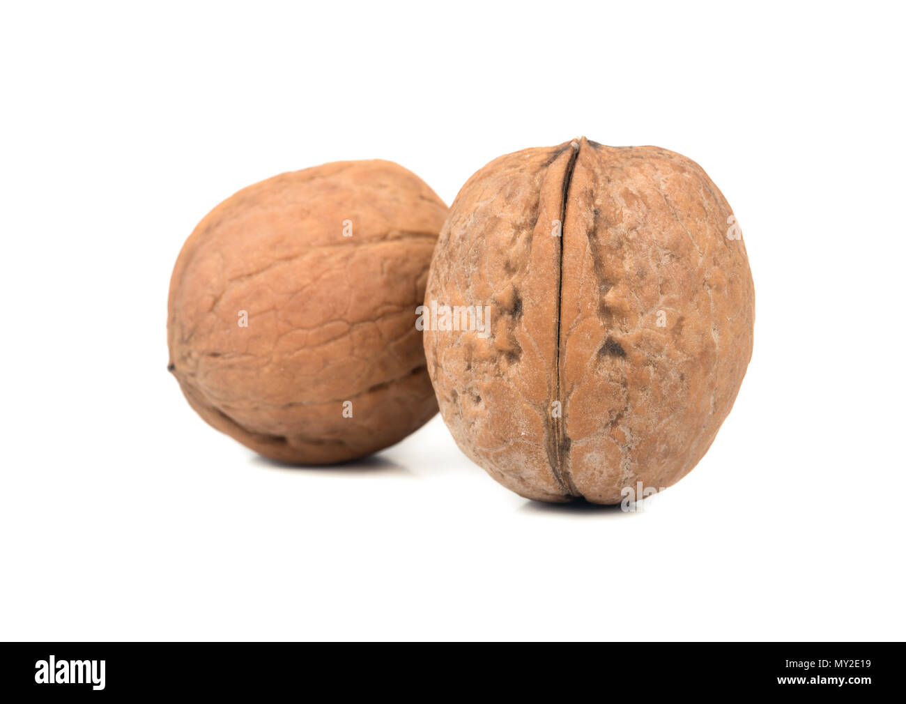 Two walnut in shell hi-res stock photography and images - Alamy