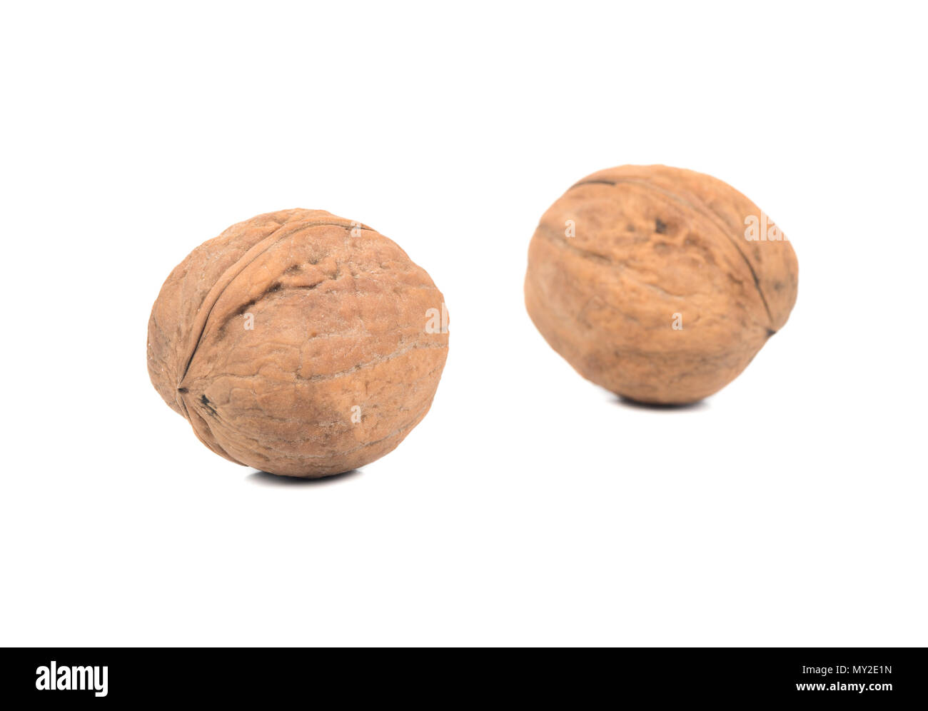 Two walnut in shell isolated on white background Stock Photo - Alamy