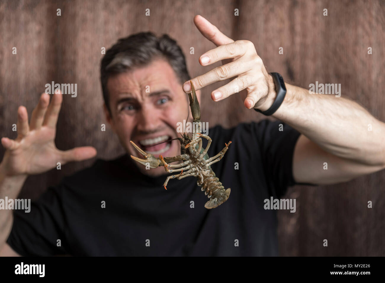 Human hand crayfish hi-res stock photography and images - Alamy