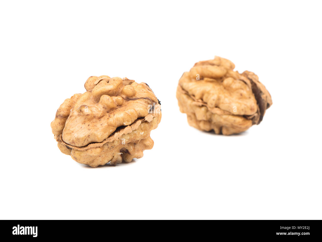 Two fresh walnuts without the shell on white background Stock Photo - Alamy