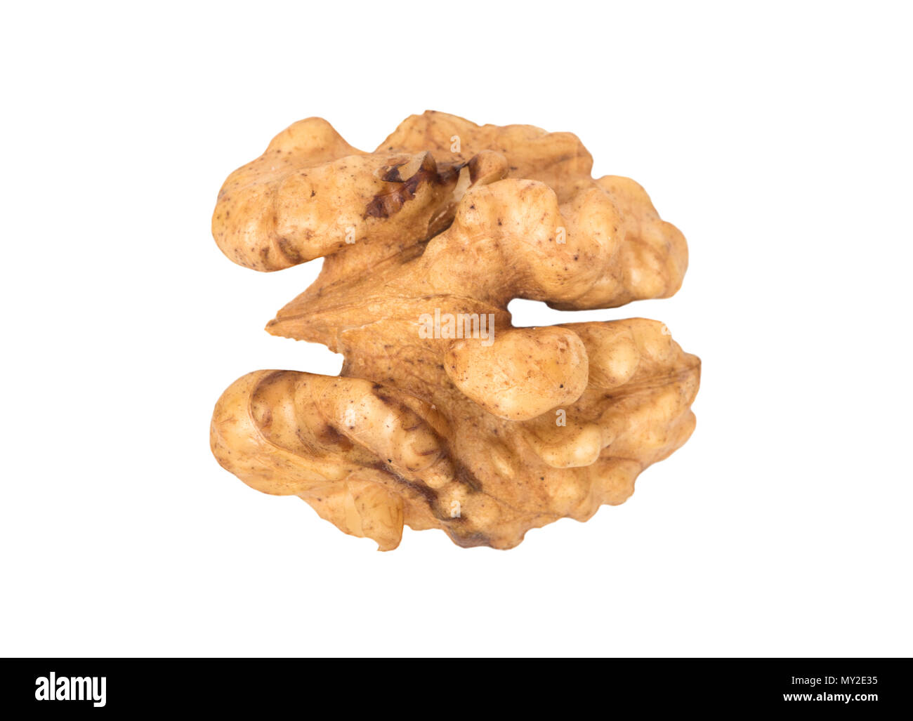 Half of a fresh walnut without shell isolated on white background Stock ...
