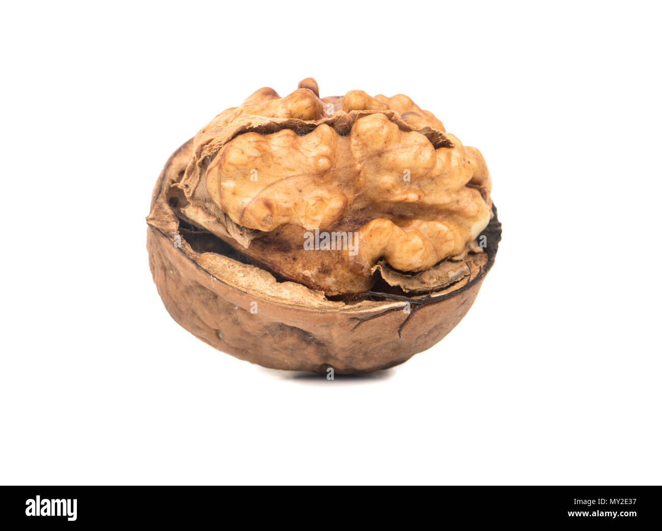Fresh walnuts open in half on white background Stock Photo - Alamy