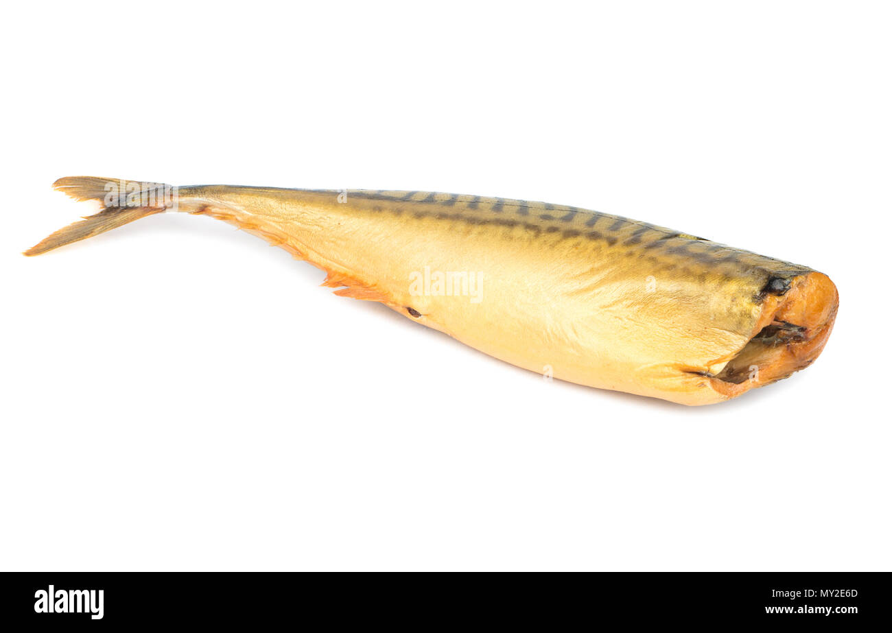 Saline fish Cut Out Stock Images & Pictures - Alamy