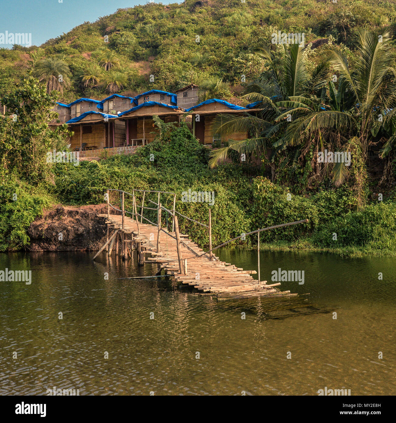 Ruined wooden bridge on the Sweet Lake on Arambol beach in Goa, India ...