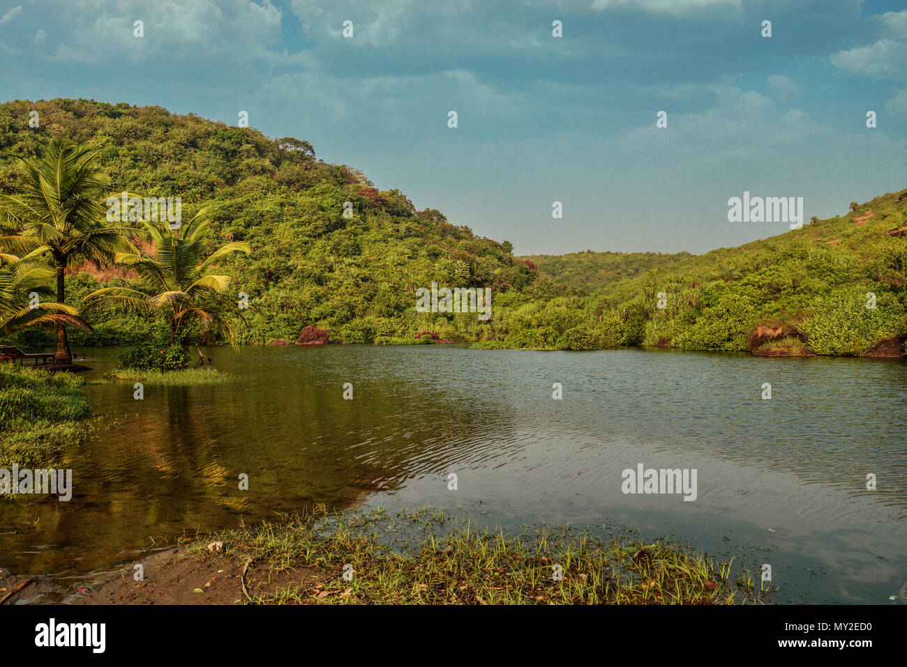 Goa lake view hi-res stock photography and images - Alamy