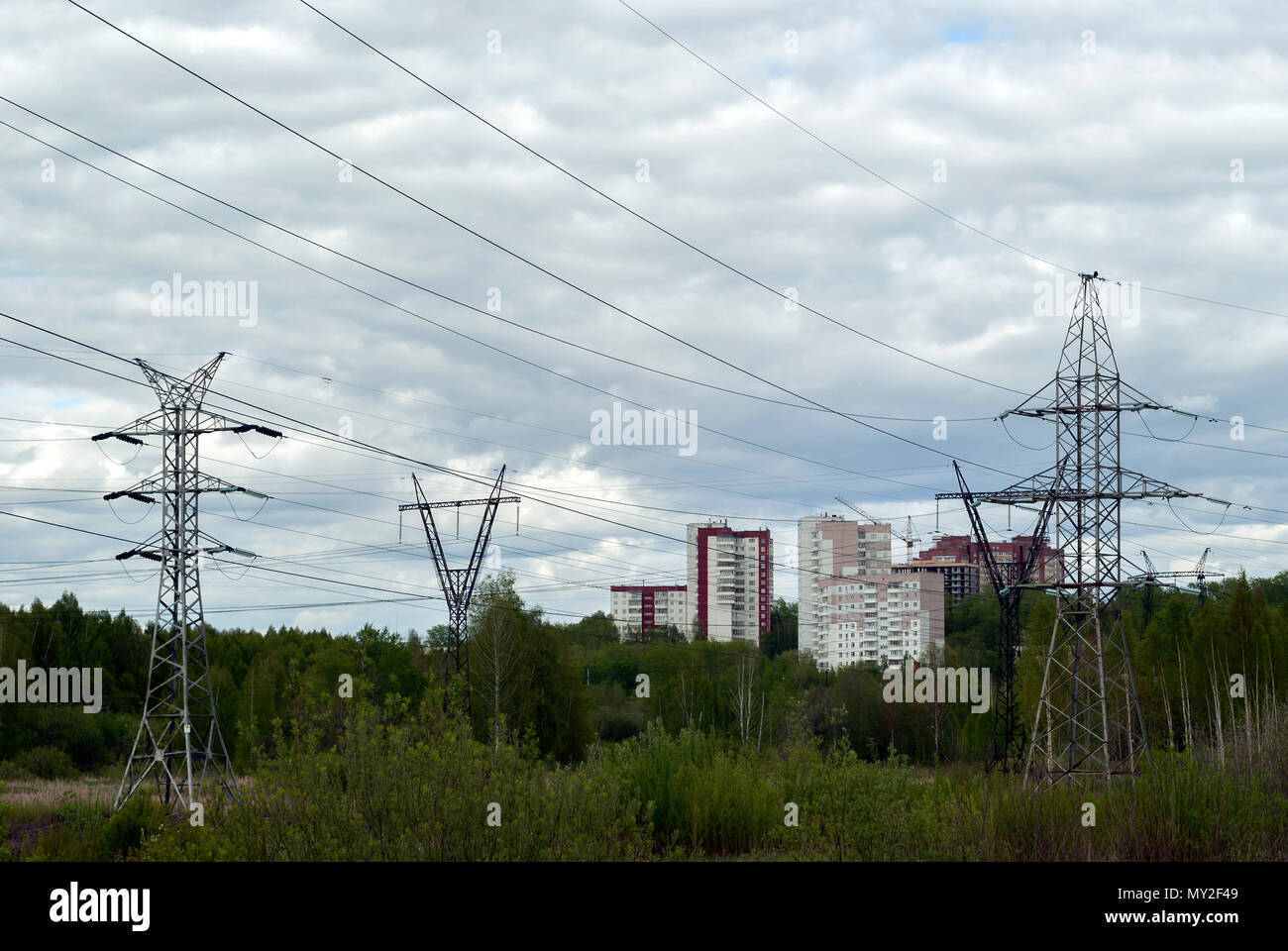 landscape - overgrown with bush terrain with numerous supports of ...
