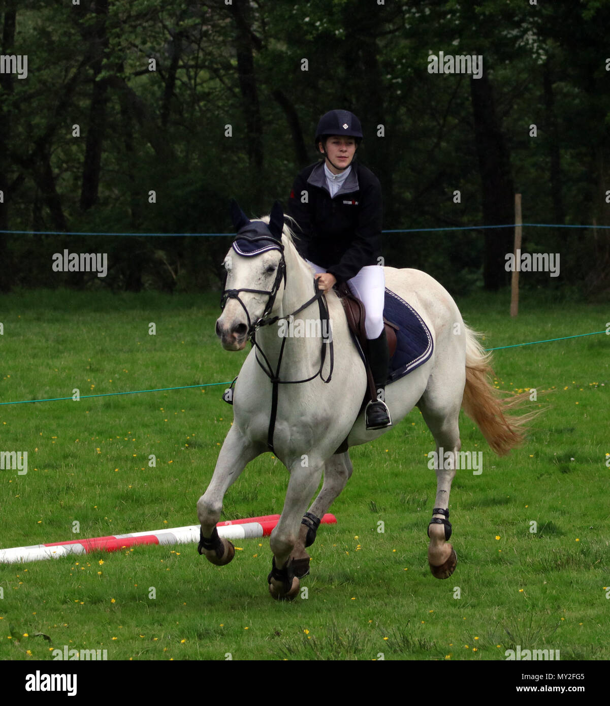 Pontargothi Show 2018 Stock Photo - Alamy