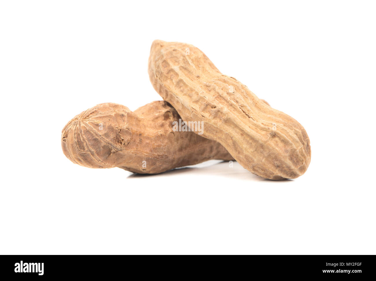 Two peanuts in shell isolated on white background Stock Photo - Alamy