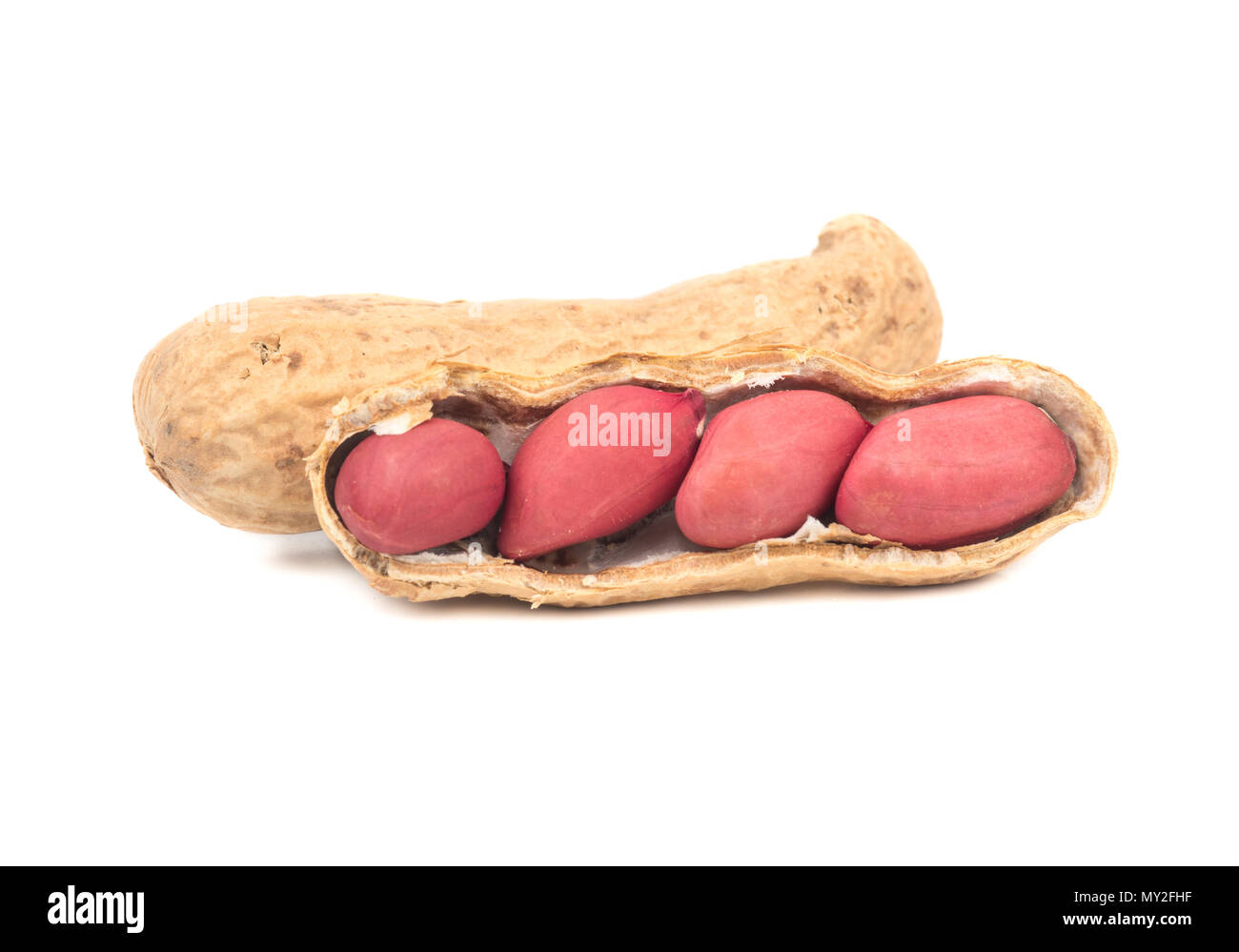 Peanut in open shell isolated on white background Stock Photo - Alamy