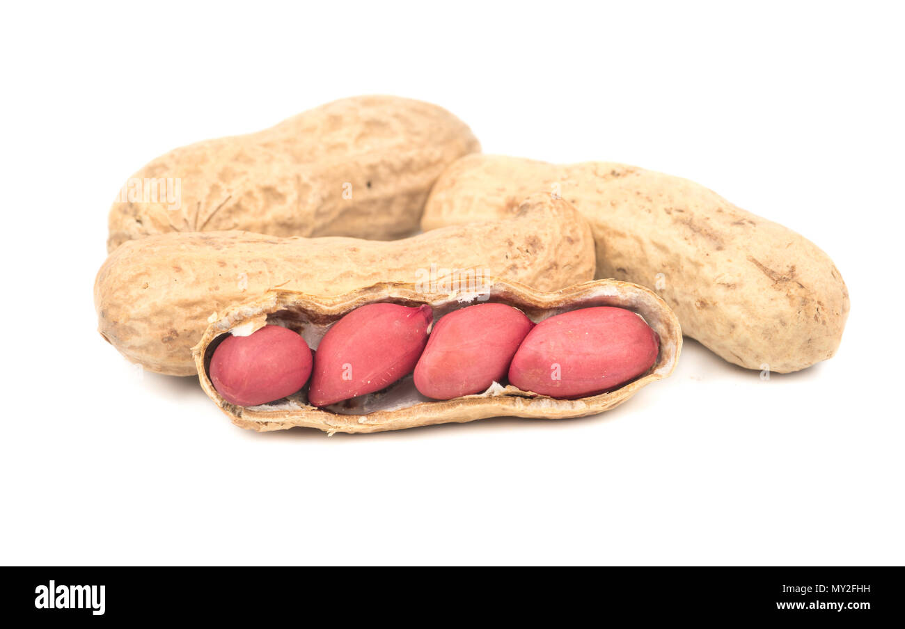 Peanut in open shell isolated on white background Stock Photo - Alamy