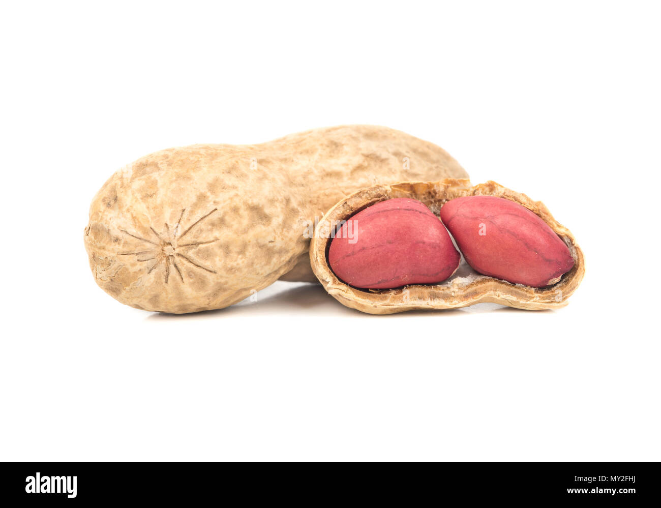 Peanut in open shell isolated on white background Stock Photo - Alamy