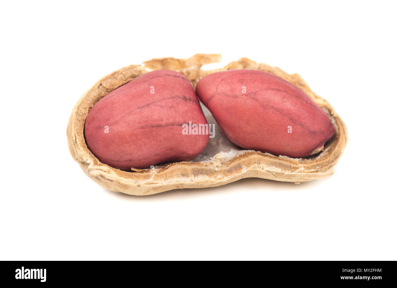 Open peanuts in the shell isolated on white background Stock Photo - Alamy