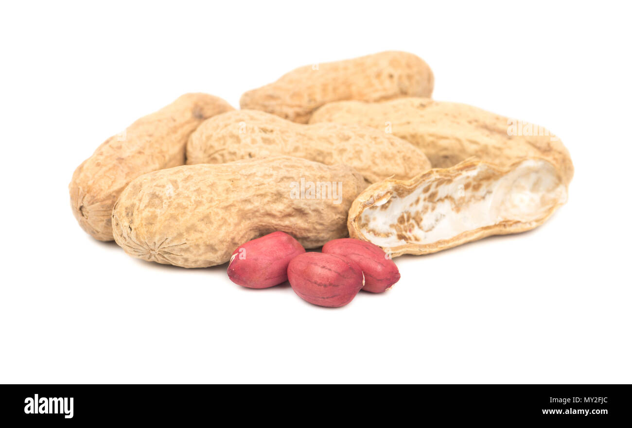 Several peanuts in a shell with three cores on a white background Stock ...