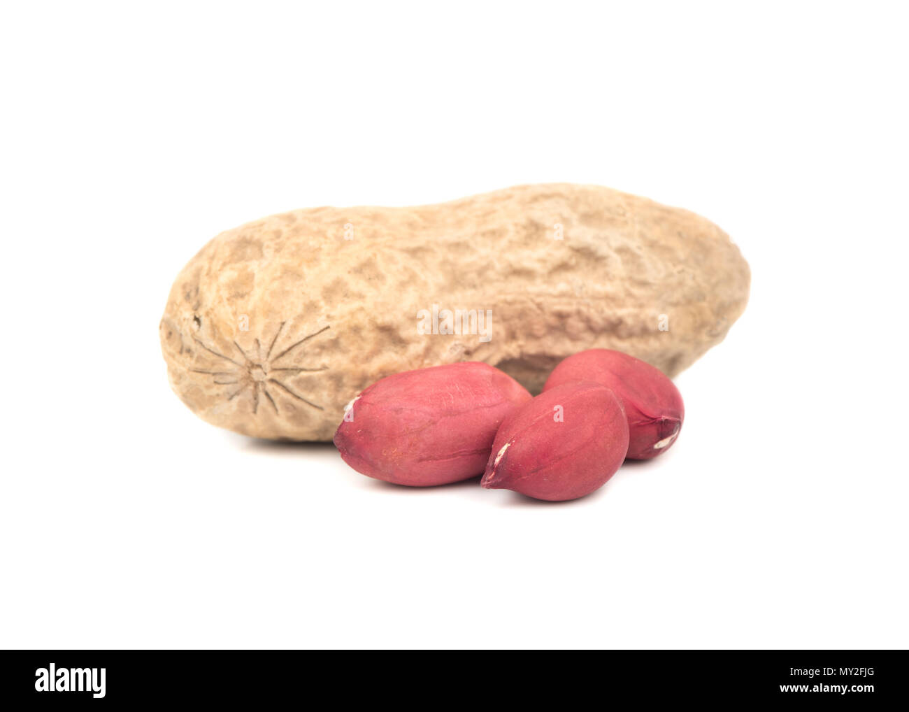Peanut inshell three kernels on a white background Stock Photo - Alamy