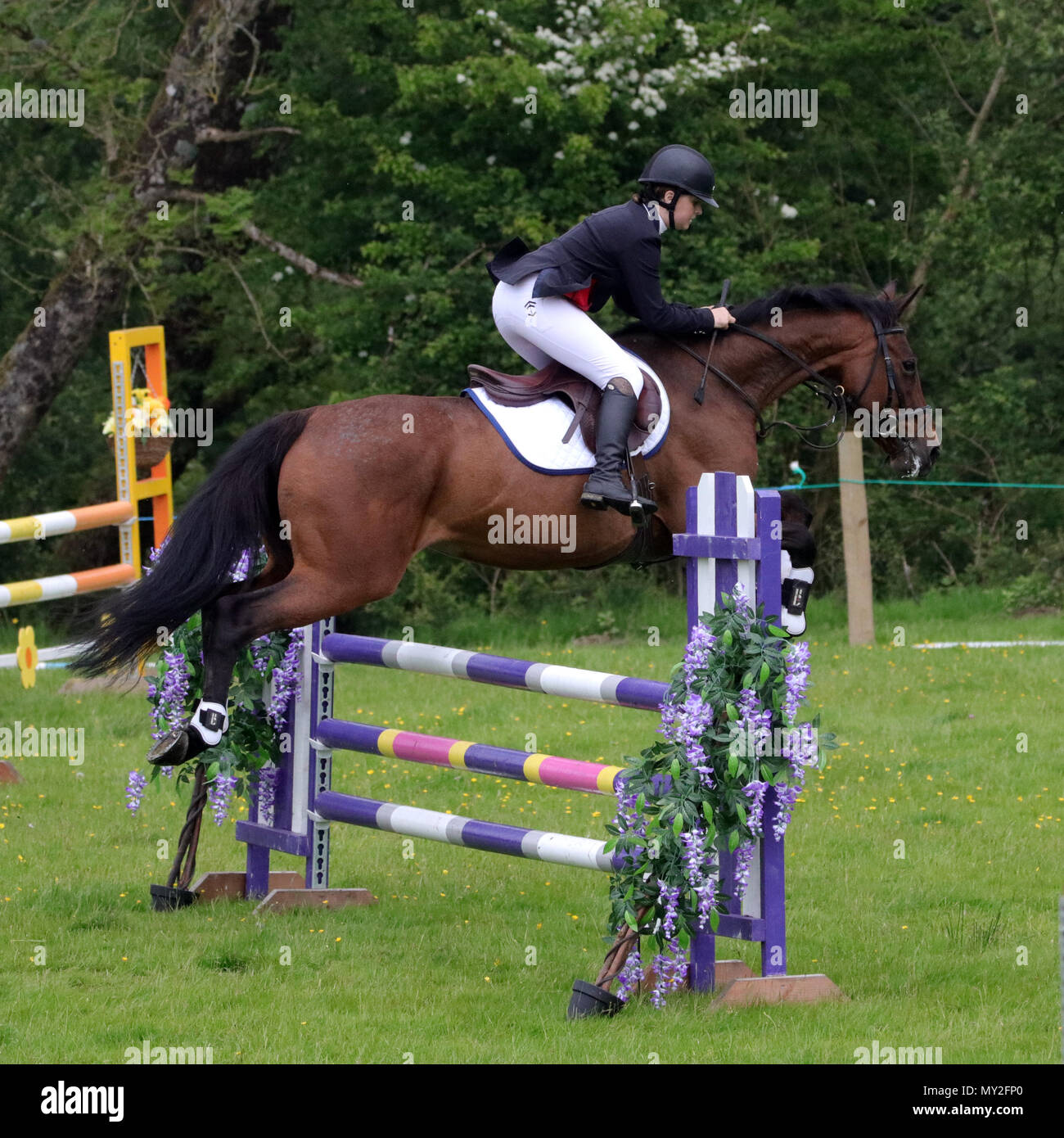 Pontargothi hi-res stock photography and images - Alamy