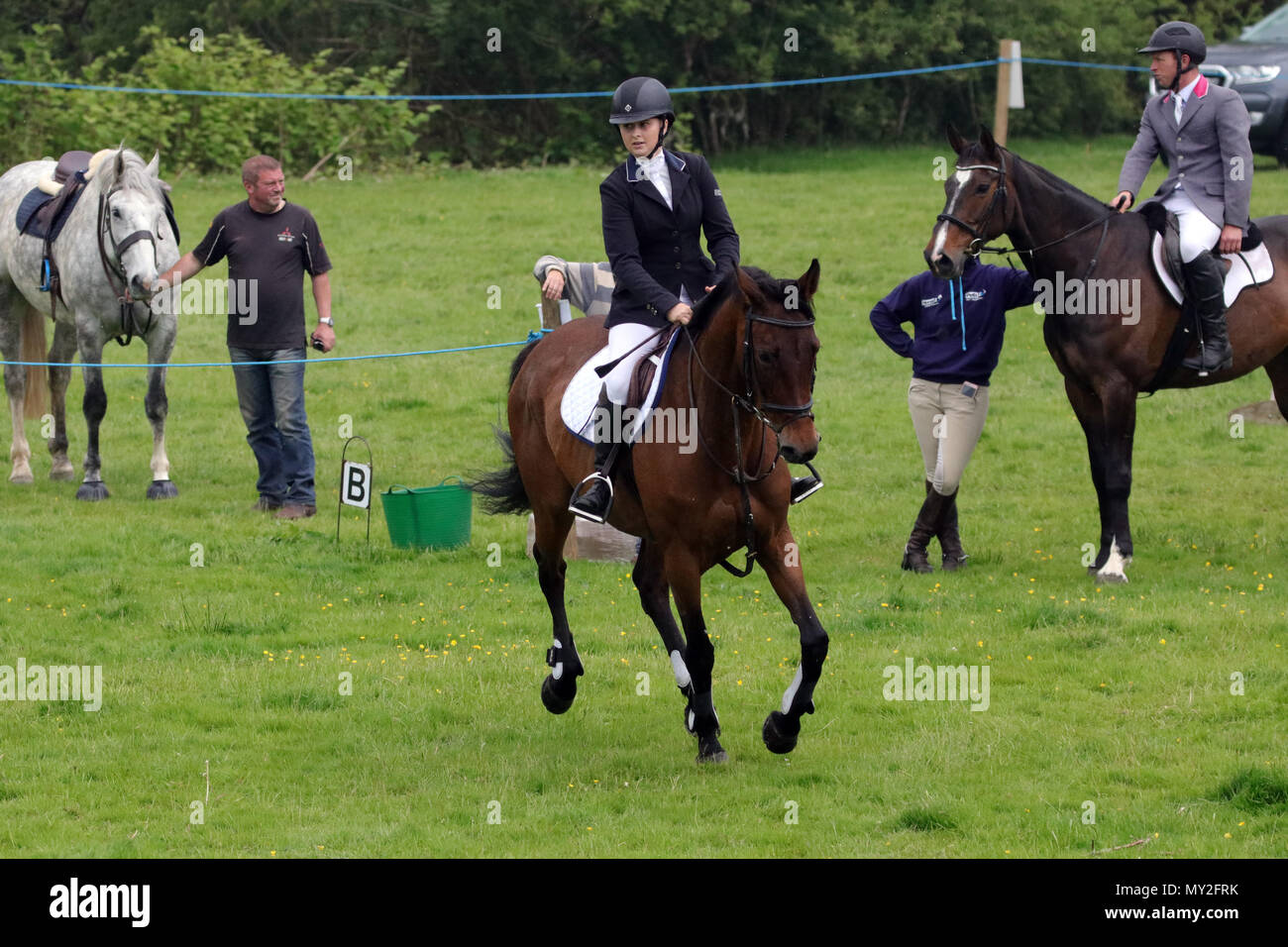 Pontargothi hi-res stock photography and images - Alamy