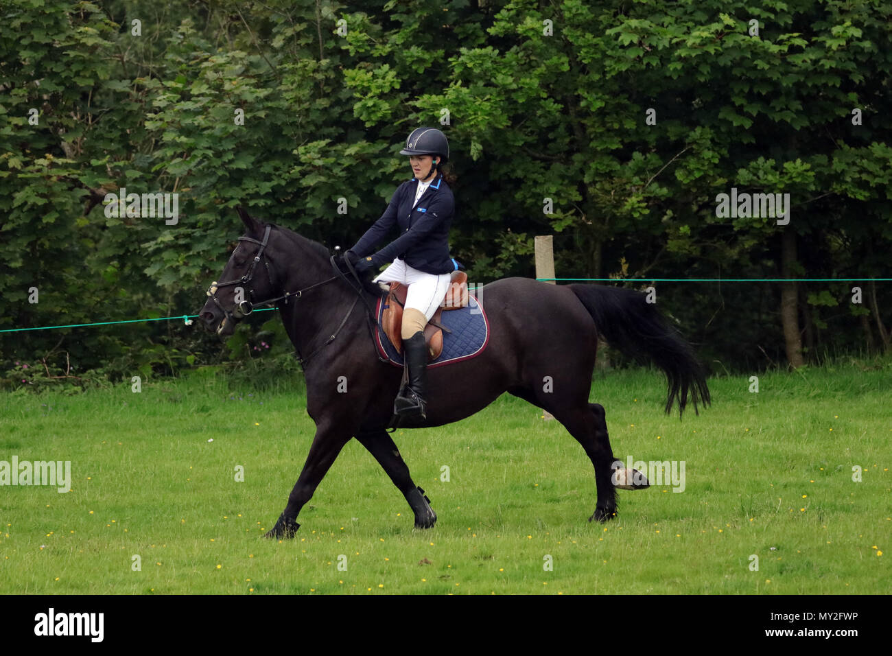 Pontargothi Show 2018 Stock Photo - Alamy