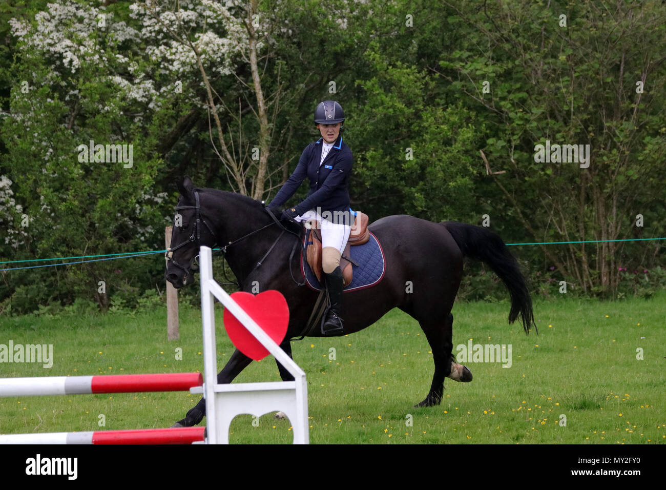 Pontargothi Show 2018 Stock Photo - Alamy
