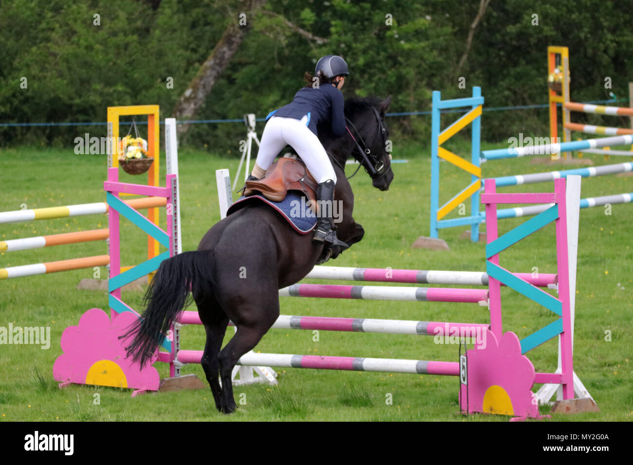 Pontargothi hi-res stock photography and images - Alamy