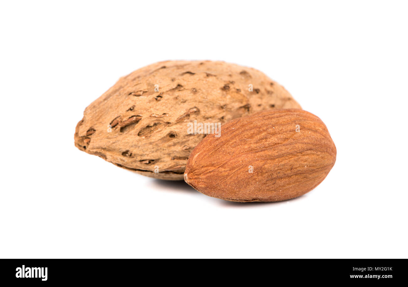 Two almond nuts in the shell and without on a white background Stock ...