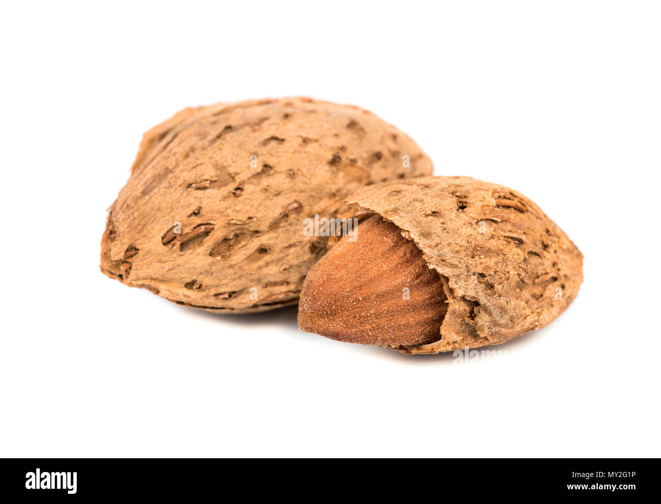 Two almond nuts in the shell on a white background Stock Photo - Alamy
