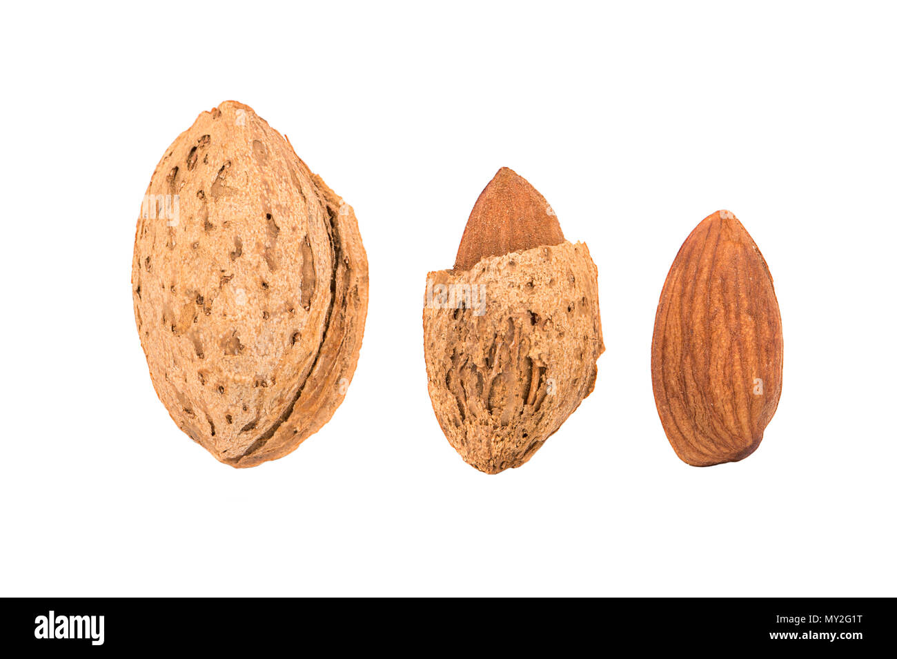 Three almond nuts in a shell and without it isolated on white ...