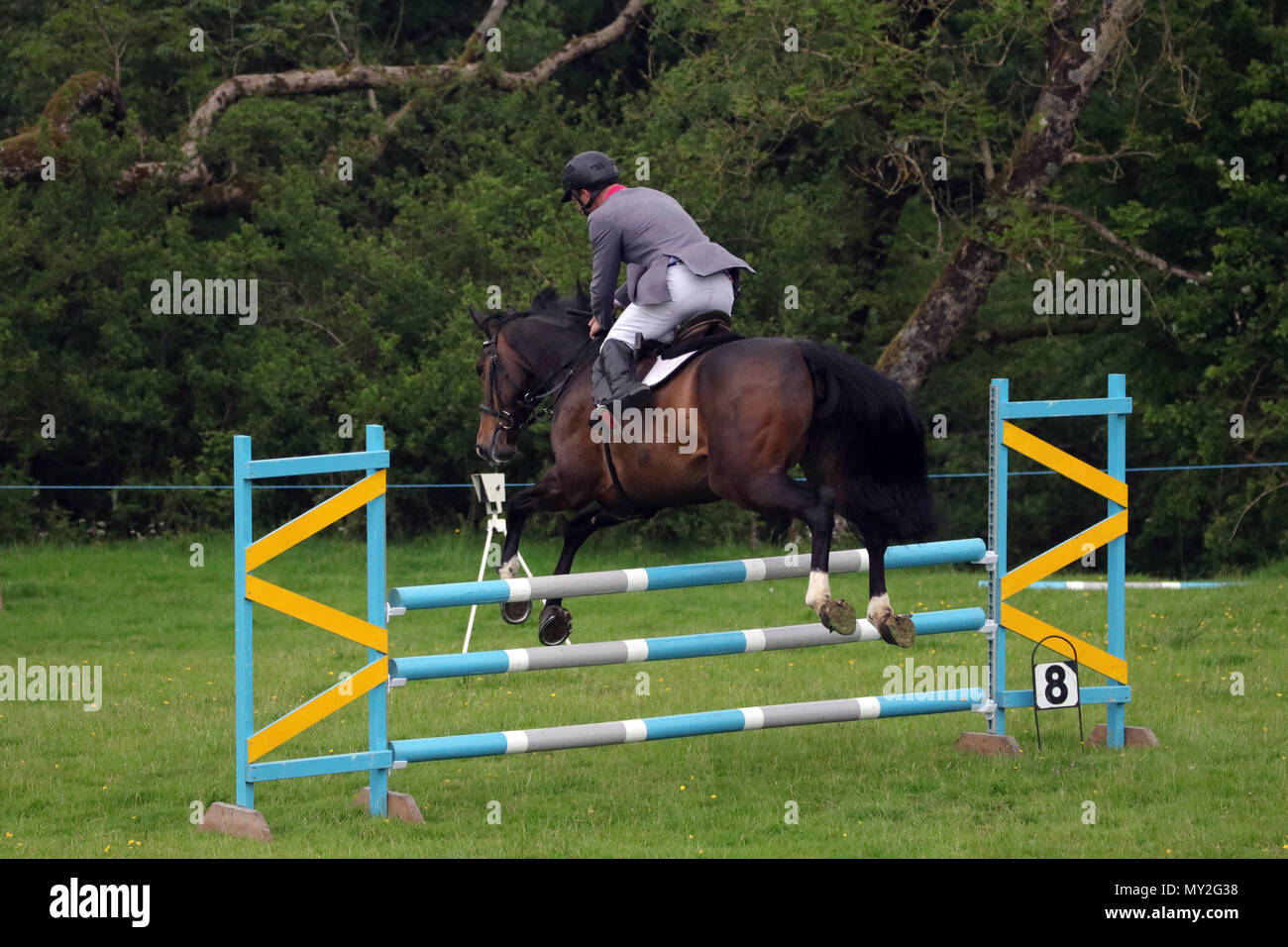 Pontargothi Show 2018 Stock Photo - Alamy