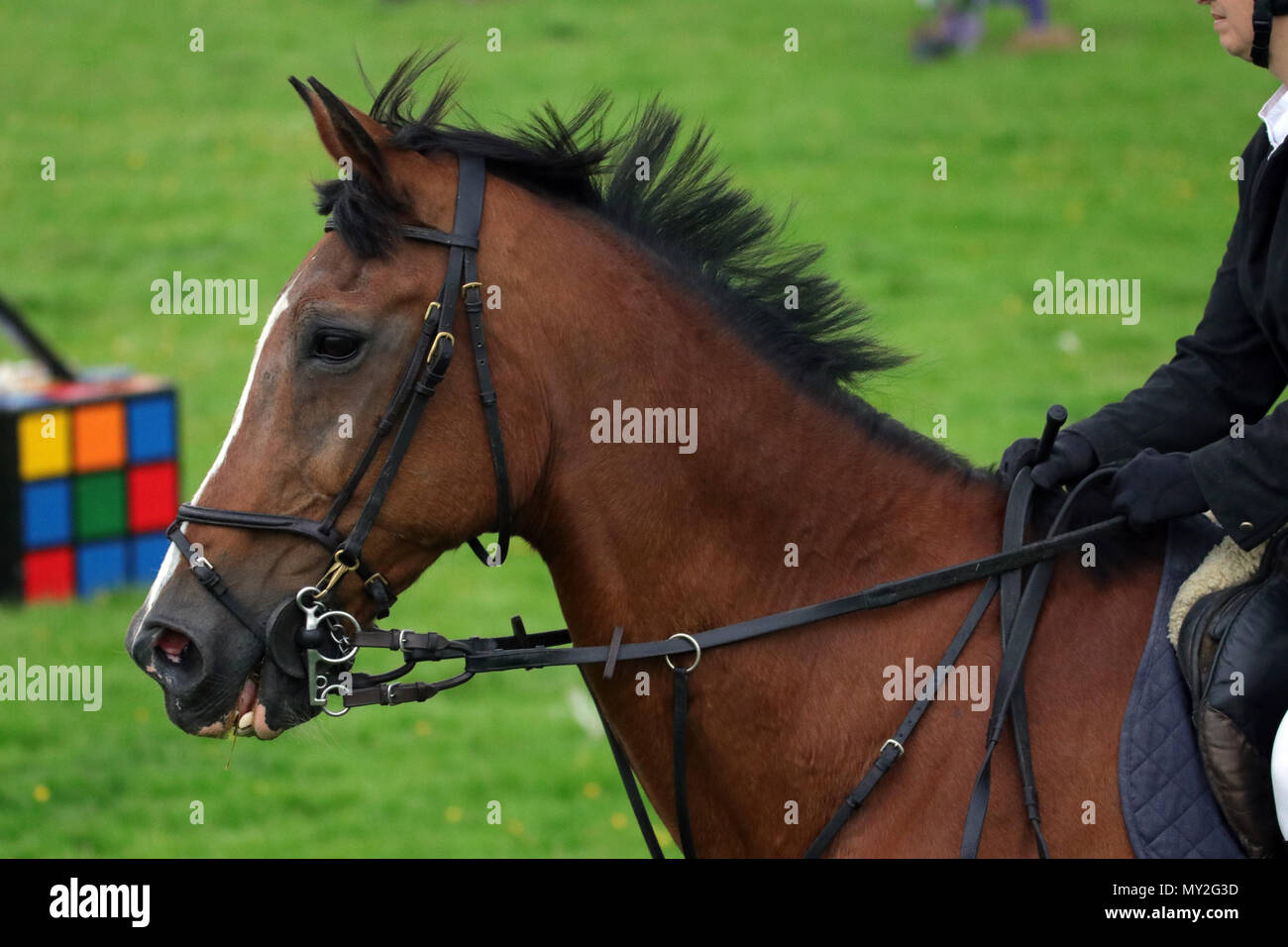 Pontargothi Show 2018 Stock Photo - Alamy