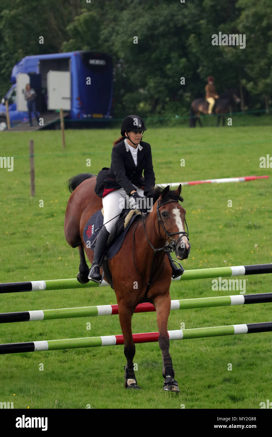 Pontargothi hi-res stock photography and images - Alamy