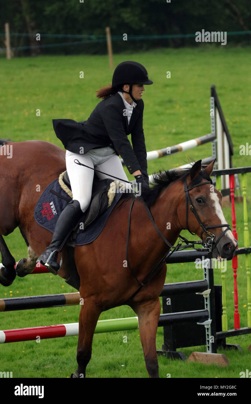 Pontargothi Show 2018 Stock Photo - Alamy