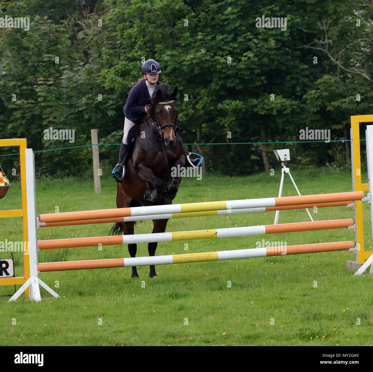 Pontargothi Show 2018 Stock Photo - Alamy