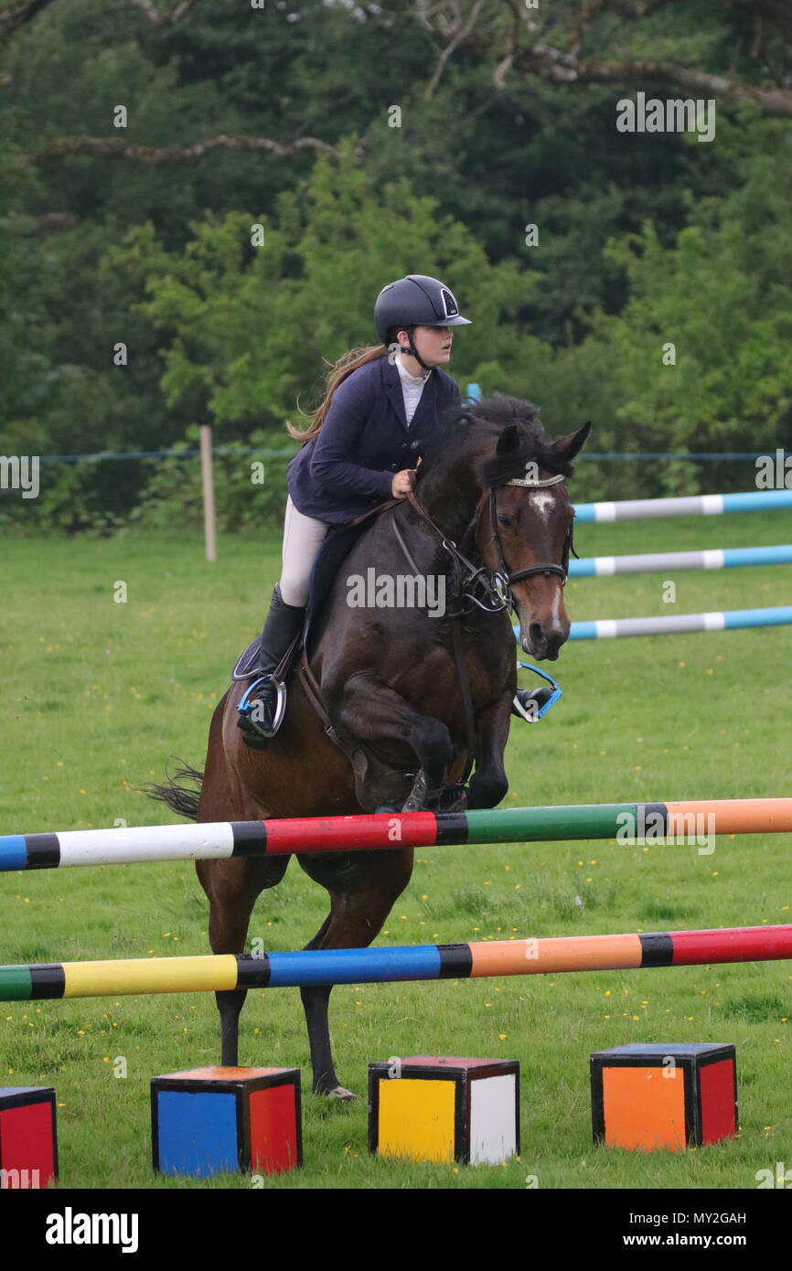 Pontargothi Show 2018 Stock Photo - Alamy