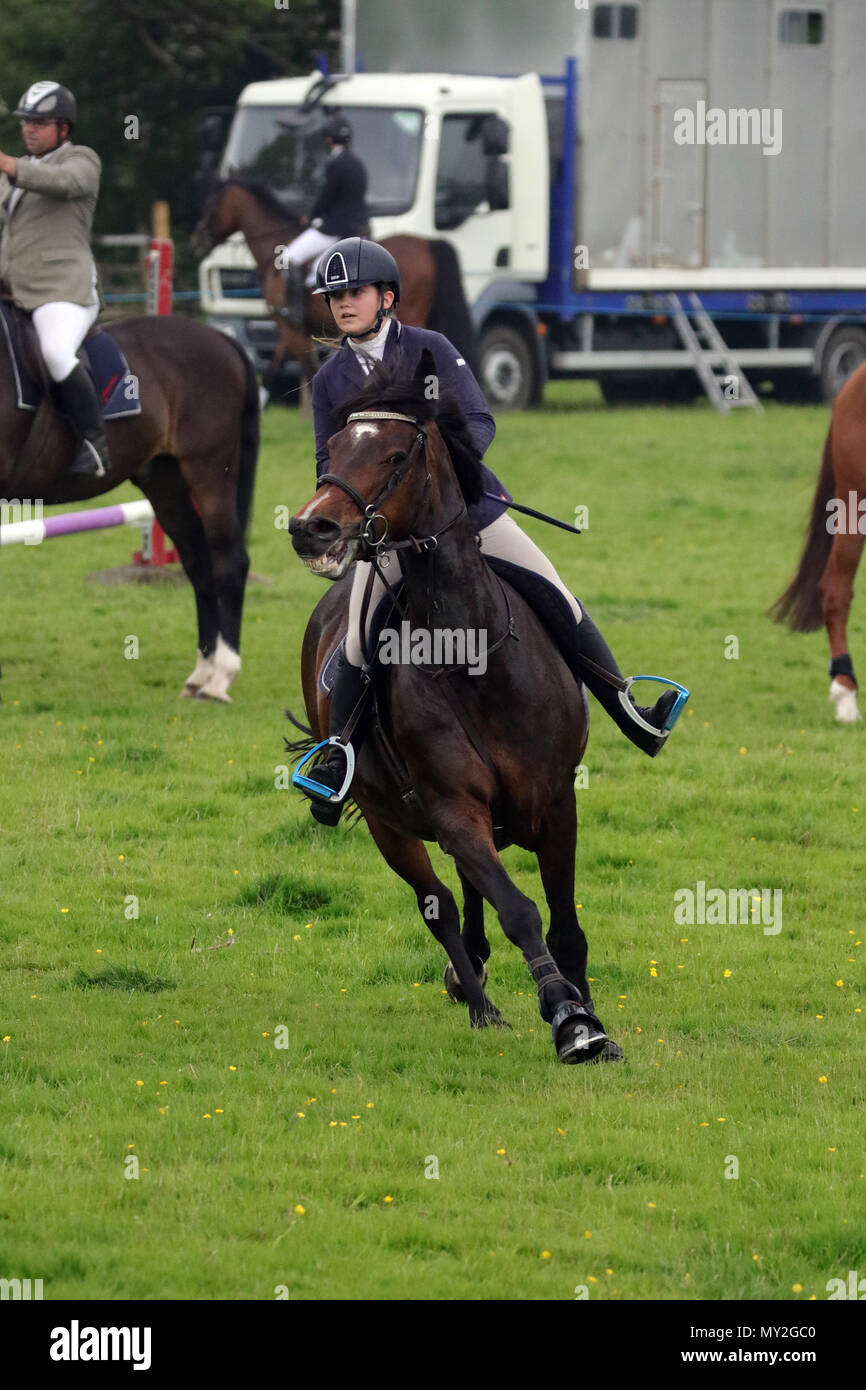 Pontargothi Show 2018 Stock Photo - Alamy